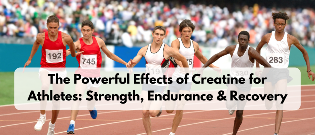 The Powerful Effects of Creatine for Athletes - Unike Nutra